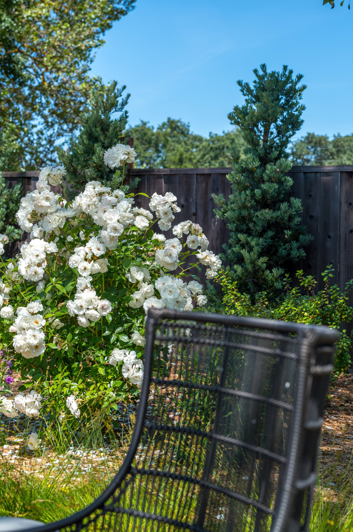 A Landscape Enhancement Project - Sperber Landscape Services