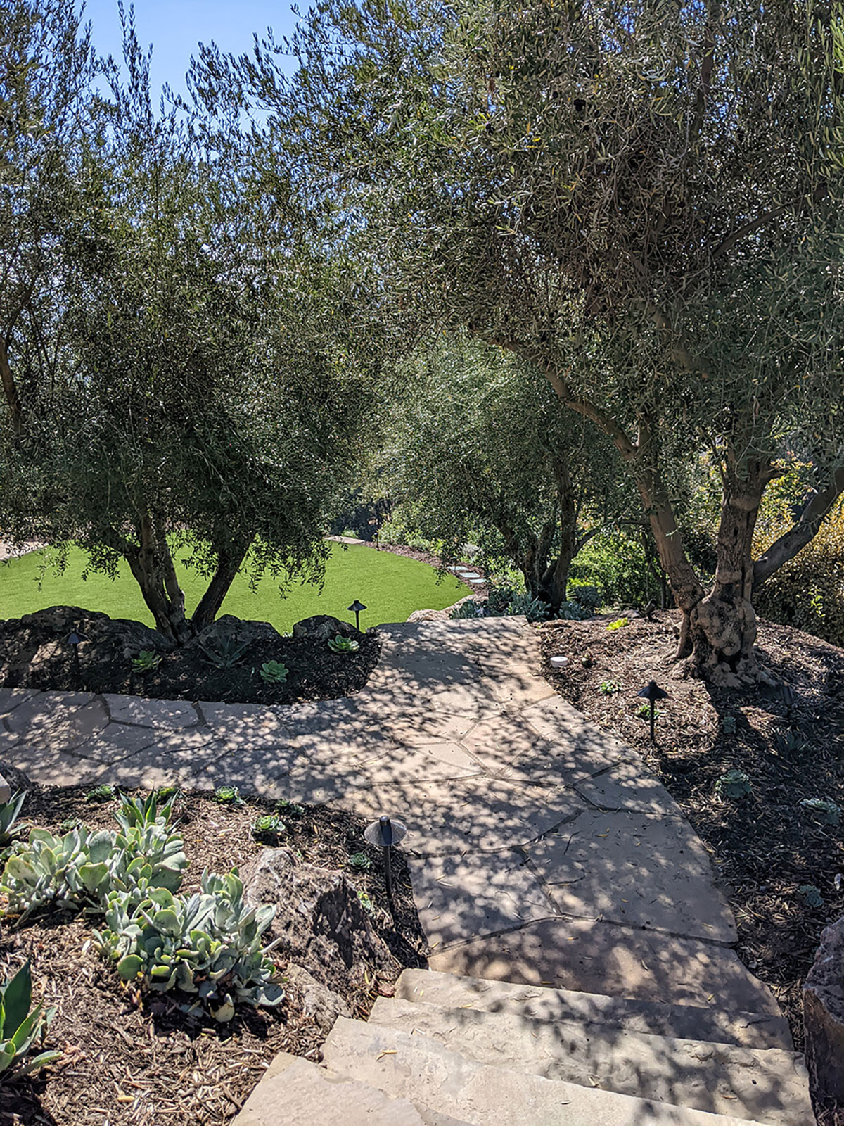 The Tiburon Residence - Sperber Landscape Services