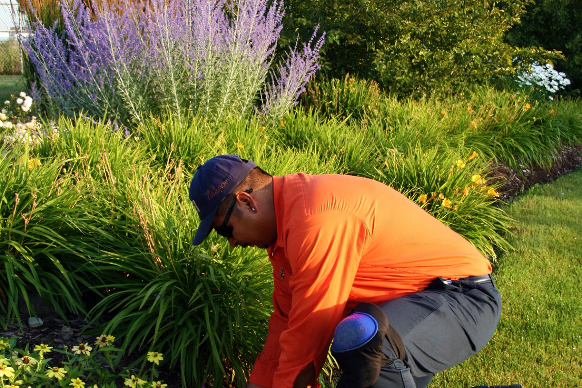 Sperber Landscape Services - Landscape Maintenance