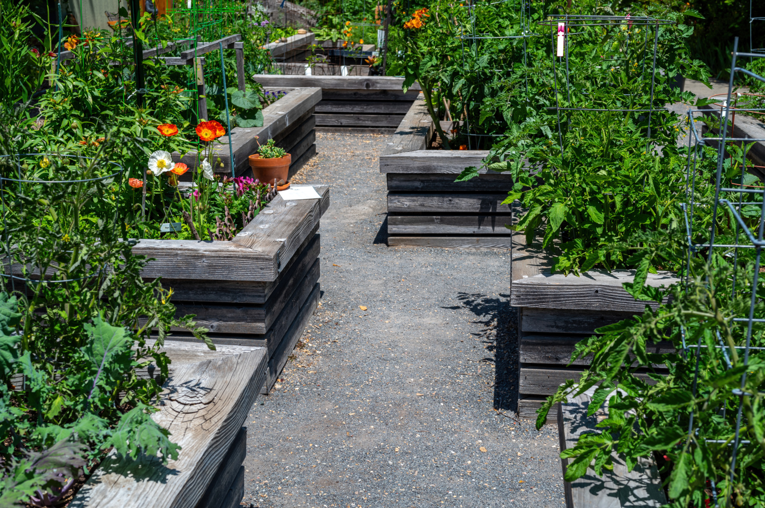 Projects - Sperber Landscape Services