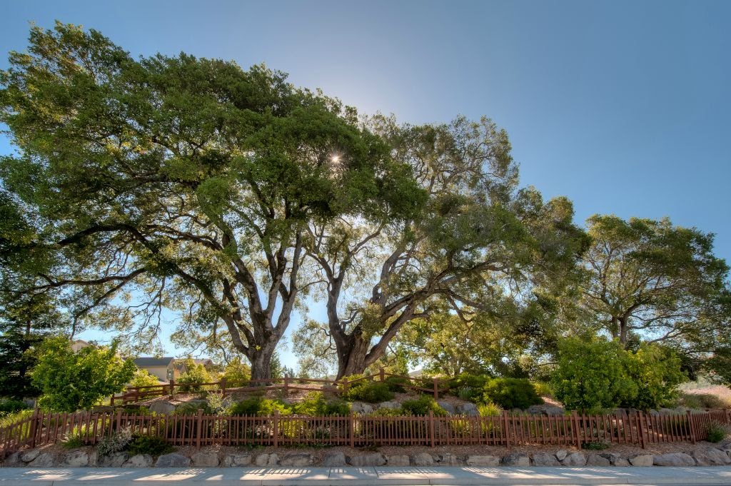 Projects - Sperber Landscape Services